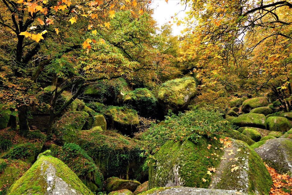 Au cœur de la Bretagne des paysages à couper le souffle